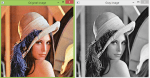 Python OpenCV: Converting an image to gray scale – techtutorialsx